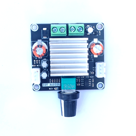 IOT-Audios 100W Subwoofer Amplifier Board Home Theater new tpa3116d2 I ...