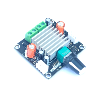 IOT-Audios 100W Subwoofer Amplifier Board Home Theater new tpa3116d2 I ...